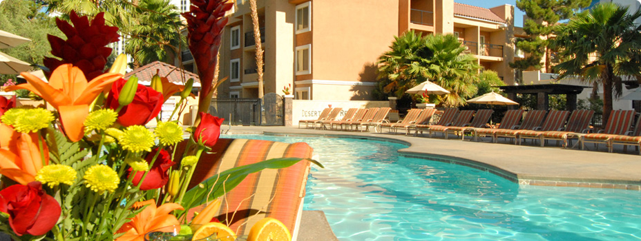 Desert Rose Resort, a Shell Vacations Club Resort: Photo and Video Gallery